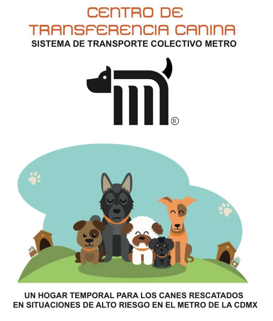 HISTORIAS EN EL METRO: LA RAZÓN DE ESTAR CONTIGO ...